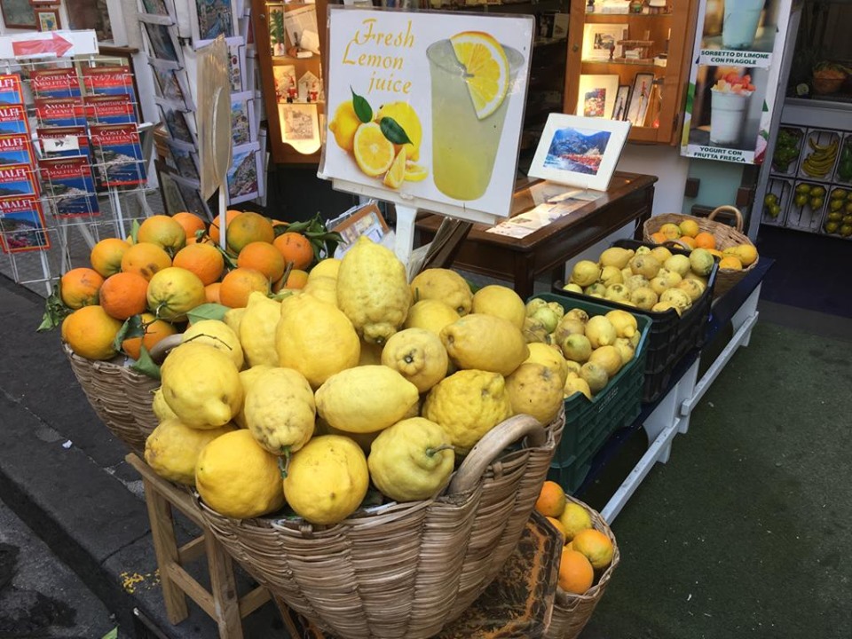 Love, Life and Lemons – Jane Hugen-Tobler